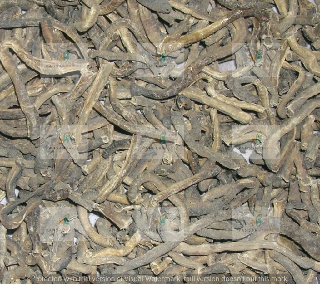 خراطین مصفیٰ / Kharateen — Pansar Markaz